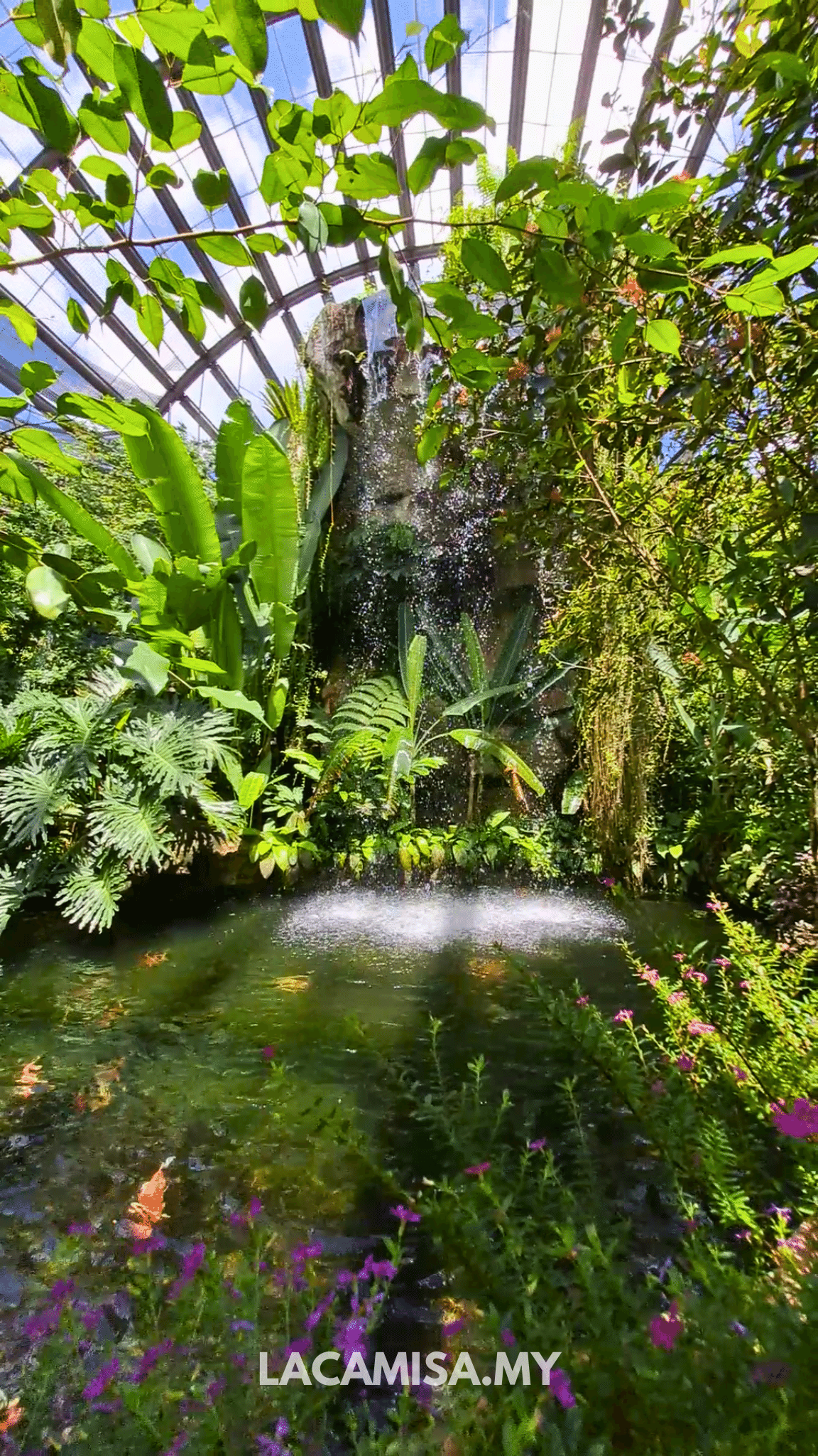 5 Best Things To Do In Entopia By Penang Butterfly Farm