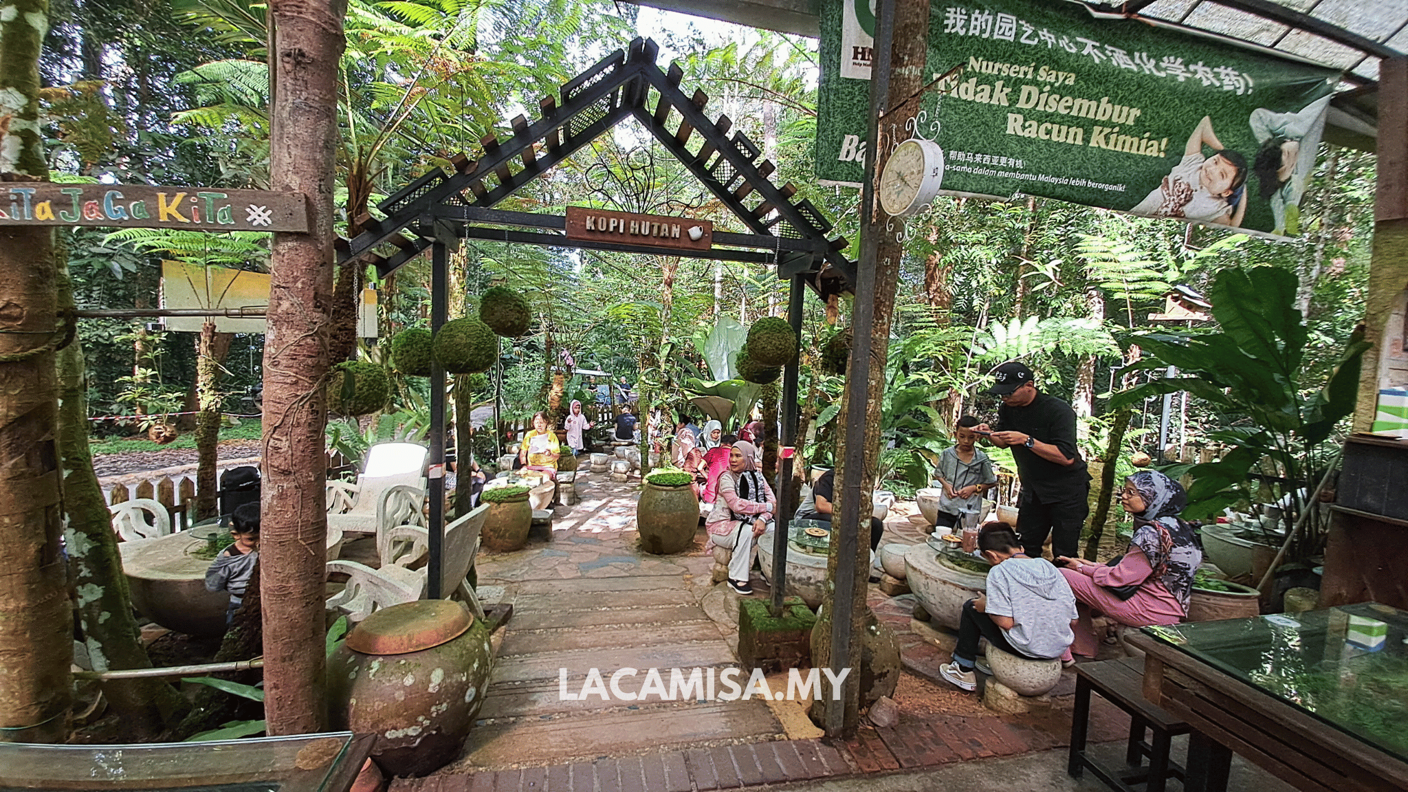 Kopi Hutan : 5 Best Experiences on Top of Penang Hill