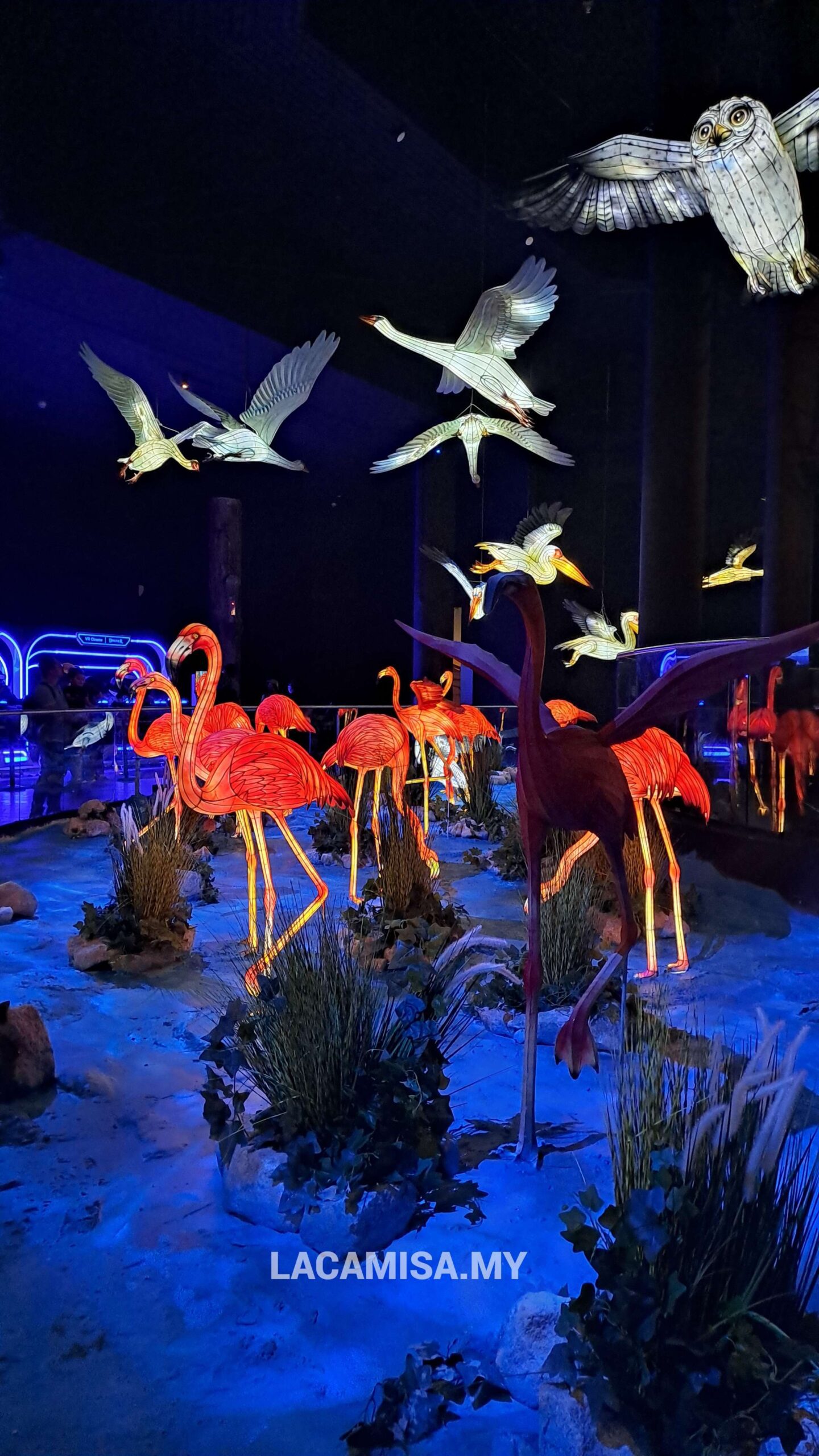 13 Best Things in Wetland Studios Putrajaya: Kids Paradise of Nature and Edutainment