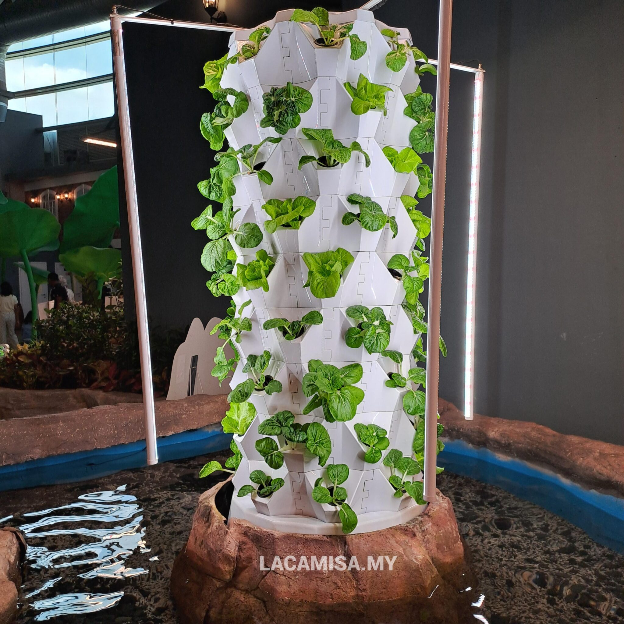 IOI City Farm : 5 Best Things To Do With Family At Putrajaya