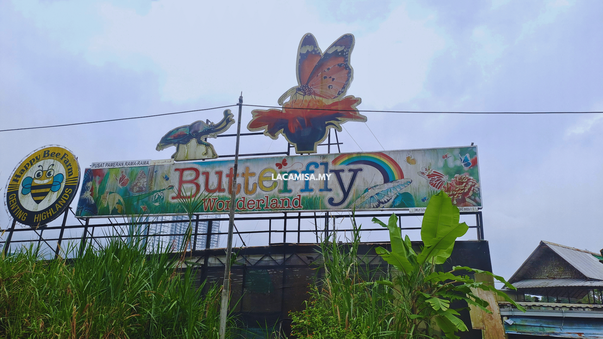 Is Butterfly Wonderland Worth It? 6 Comprehensive Reviews