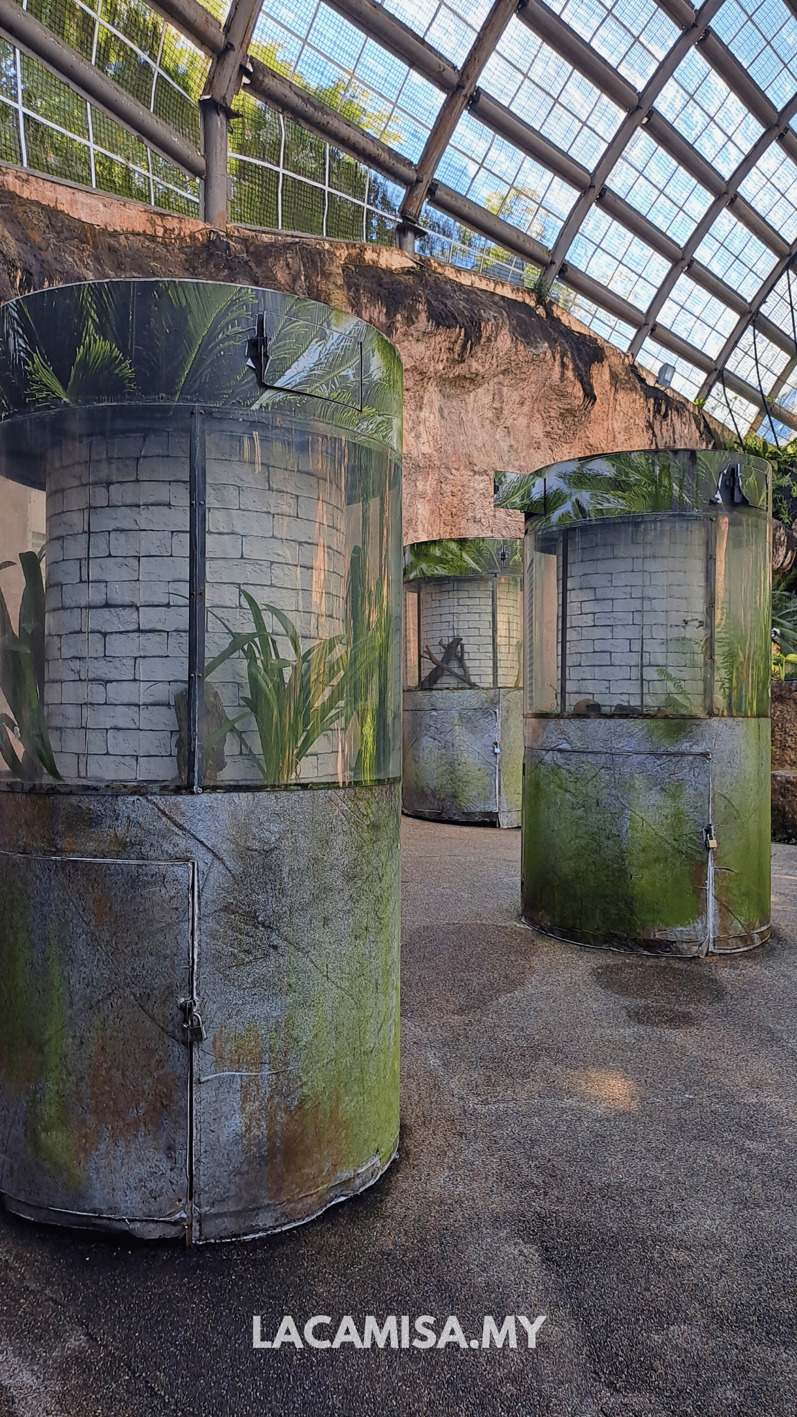 5 Best Things To Do In Entopia By Penang Butterfly Farm