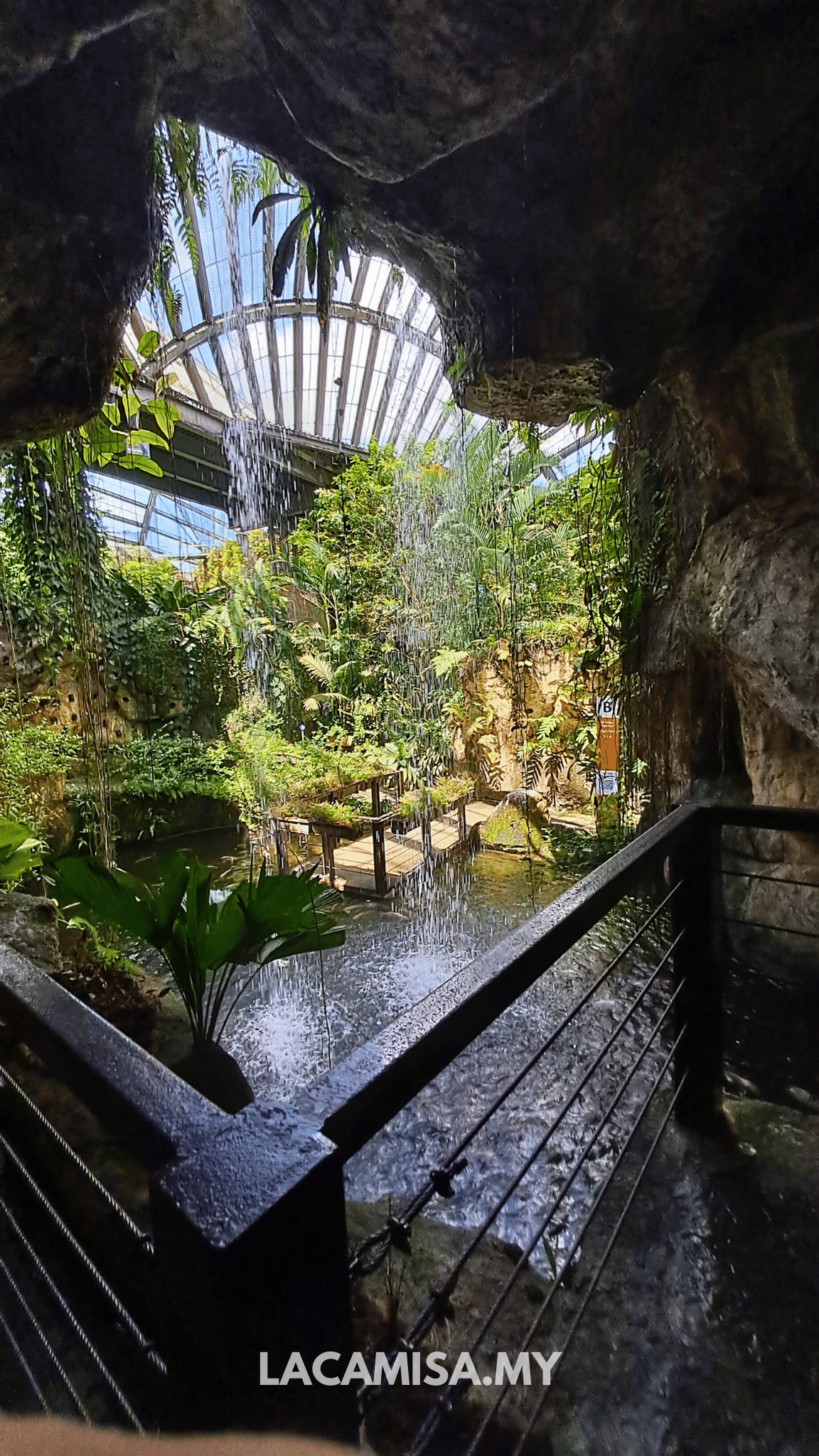 5 Best Things To Do In Entopia By Penang Butterfly Farm