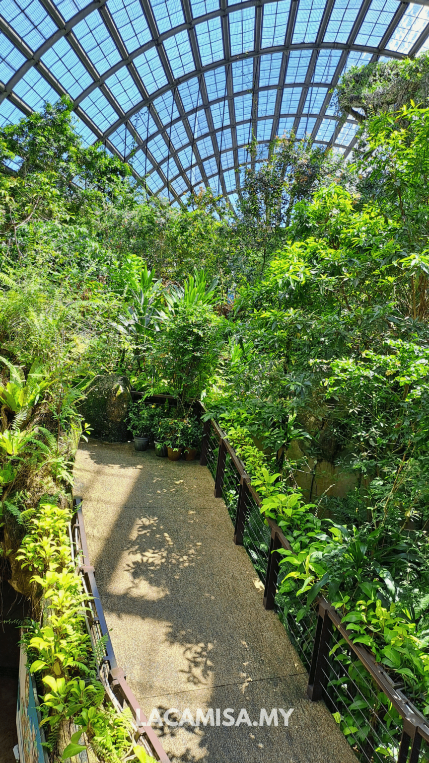 5 Best Things To Do In Entopia By Penang Butterfly Farm