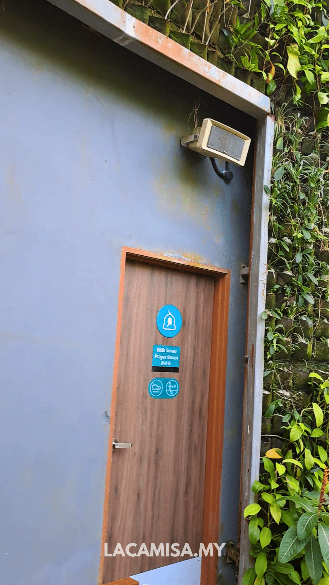 5 Best Things To Do In Entopia By Penang Butterfly Farm