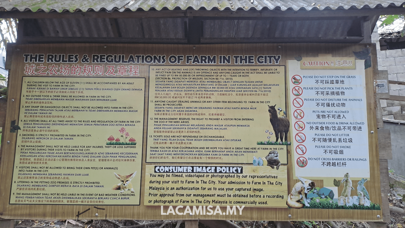 Farm in the City : 7 Best Overviews of the Petting Zoo