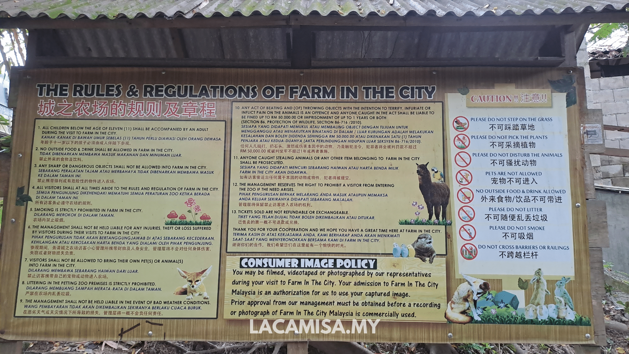 Farm in the City : 7 Best Overviews of the Petting Zoo
