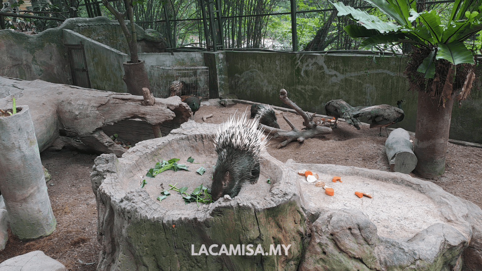 The Best of Farm in the City : 15 Exciting Family-Friendly Activities ...