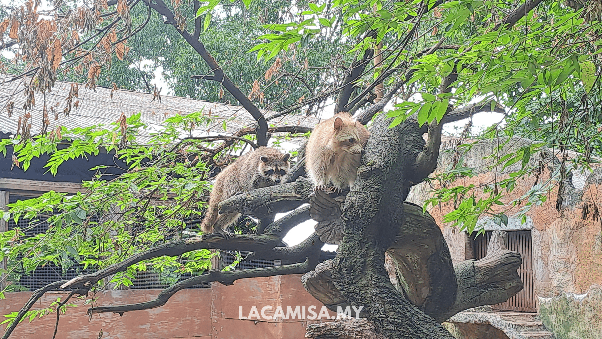 The Best of Farm in the City : 15 Exciting Family-Friendly Activities ...