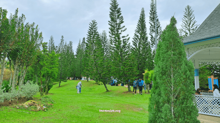 Blossoming Beauty of Taman Saujana Hijau: A Photographer's Paradise ...