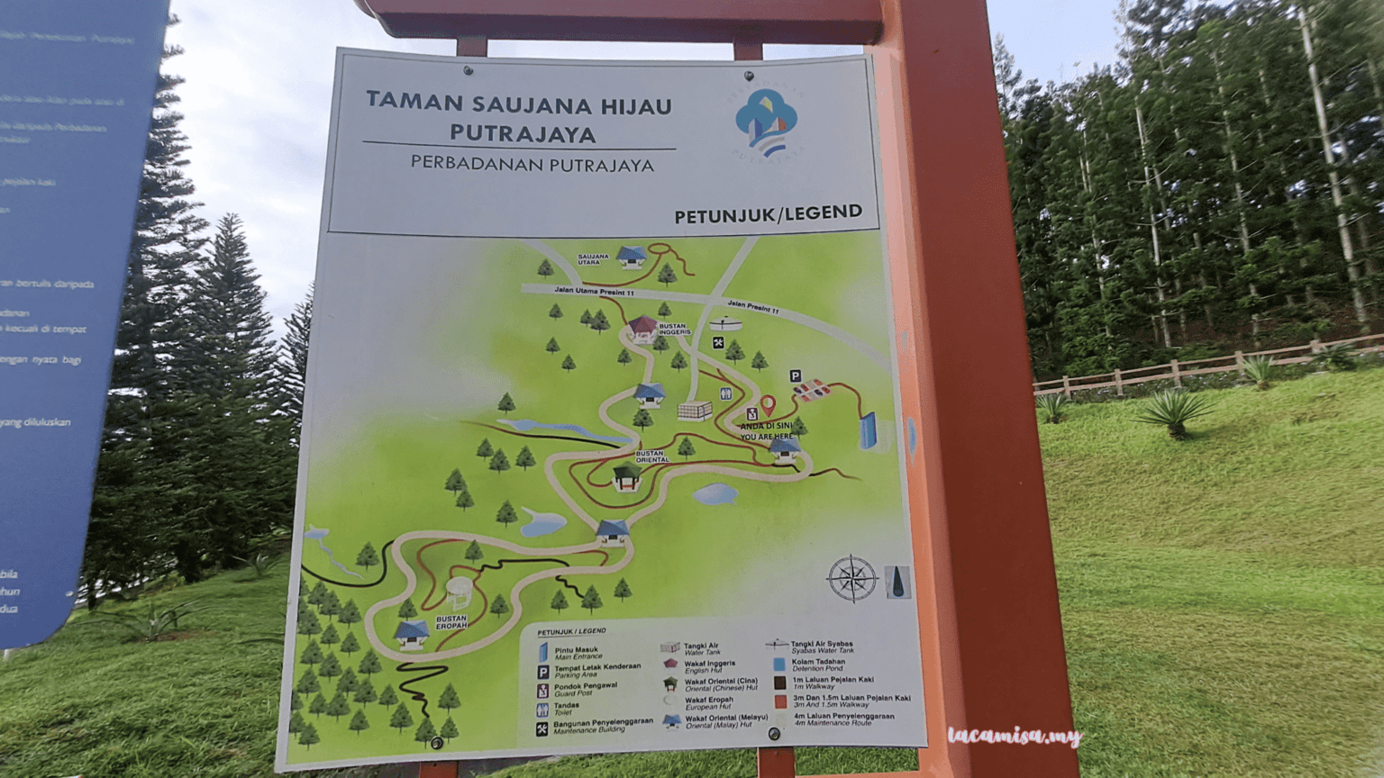 Blossoming Beauty of Taman Saujana Hijau: A Photographer's Paradise ...